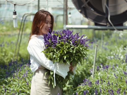 2019 플라워 트래시 페스티벌 FLRY와 함께하는 업사이클링 꽃축제. 안녕하세요. 꽃으로 사람들이 연결되는 세상을 만들어 가는 ...