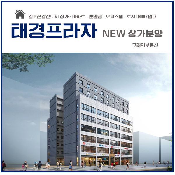 구래동상가 태경프라자 분양 임대 추천 합니다 새로운 투자매물 김포한강신도시 투자매물 네이버 블로그