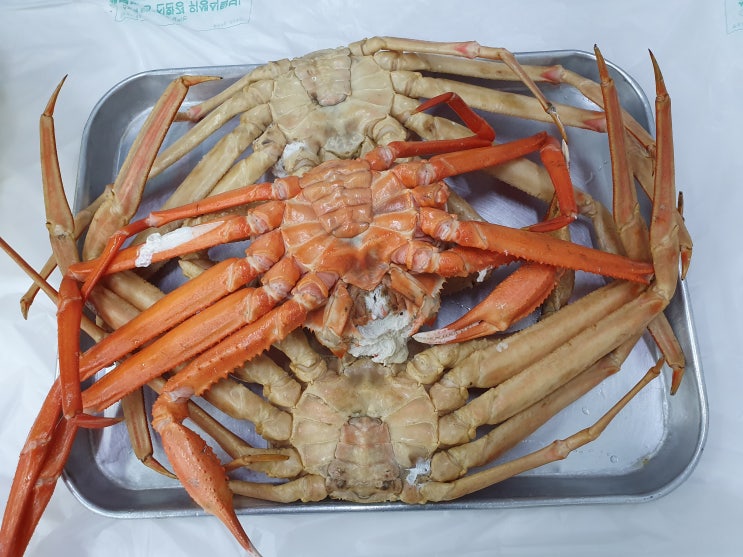 강릉 주문진 수산시장에서 대게ㆍ홍게 저렴하게 구입하여 예슬이네에서 망한 먹방 후기 네이버 블로그