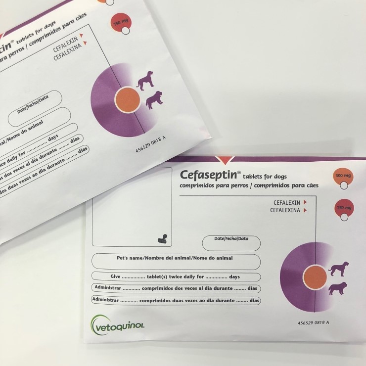 개, 강아지 농피증 치료제 - 문산 동물약국 민경약국 (월롱, 파평, 적성, 일산, 덕이동, 교하, 운정, 법원, 연천, 양주 ...