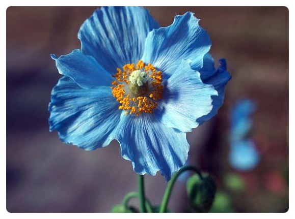 worth one's salt 밥값을 하는, 유능한, 영어숙어표현 : 네이버 블로그