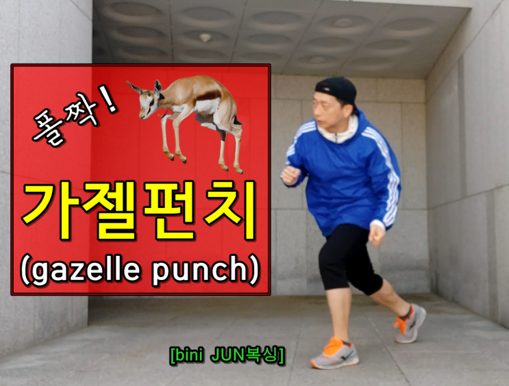 [bini JUN복싱][gazelle punch] 누구나 할수있는 가젤펀치(beta버전) : 네이버 블로그
