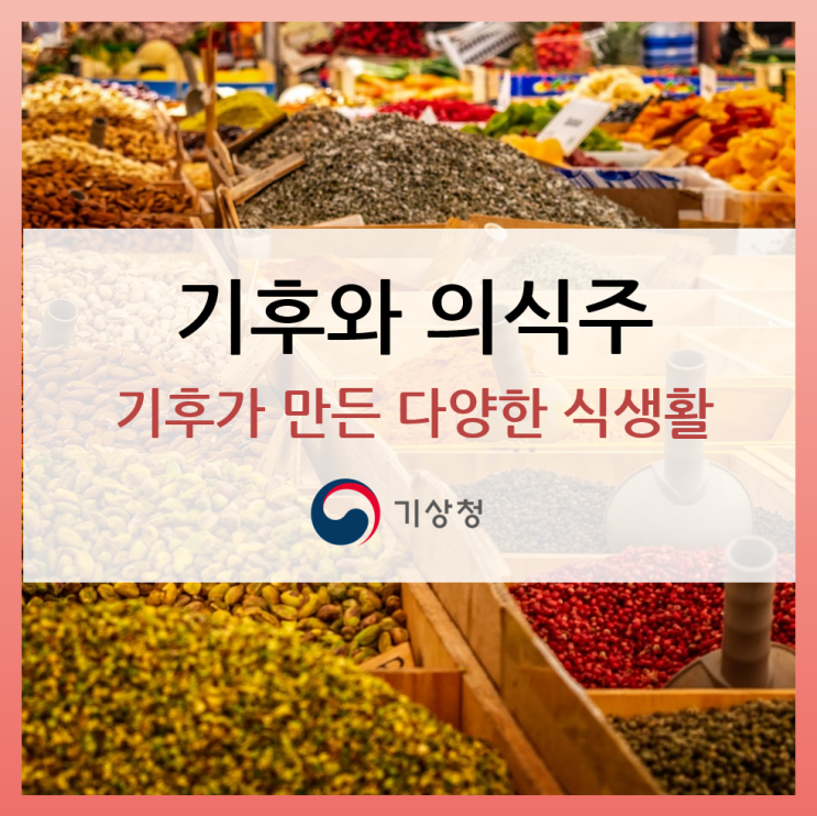 기후와 의식주 날씨가 만드는 음식 기후에 따라 달라지는 우리 식생활 네이버 블로그