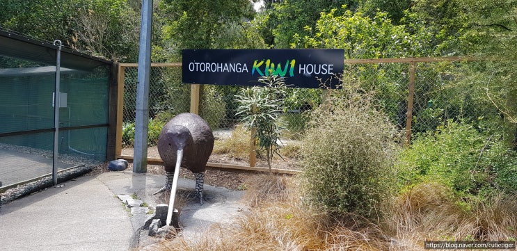 37. [WAITOMO CAVES] & [KIWI HOUSE] &[HUKA FALLS] _ 19년 1월 12일 : 네이버 블로그