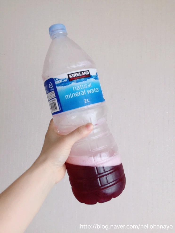 금요일이니까 아실리(ASILI) 퍼플 부스트(PURPLE BOOST) 2L : 네이버 블로그