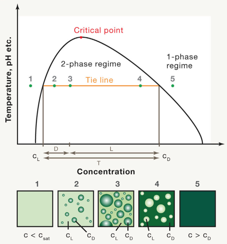 Liquid-Liquid Phase Separation(LLPS) and Biomolecular Condensates : 네이버 블로그