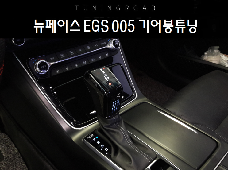 뉴페이스 EGS 005 신모델 전자기어봉 튜닝 : 네이버 블로그