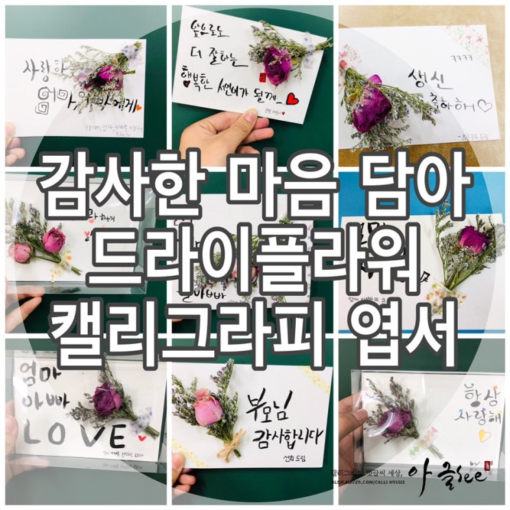 아 글 See 감사한 마음 담아 드라이플라워 캘리그라피 엽서 자유학년제 캘리그라피 중학교 자유학기제 동아리활동 캘리