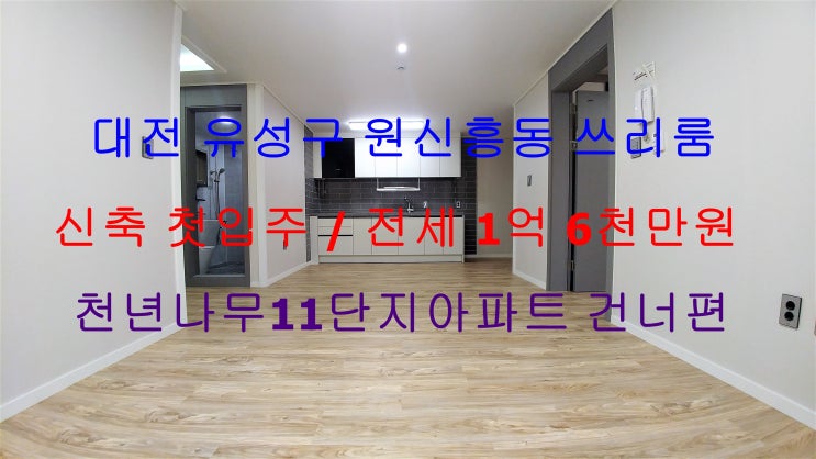 대전 유성구 원신흥동 천년나무11단지아파트 건너편 조용한 동네에 있는 신축 첫입주 전세 쓰리룸이에요 네이버 블로그