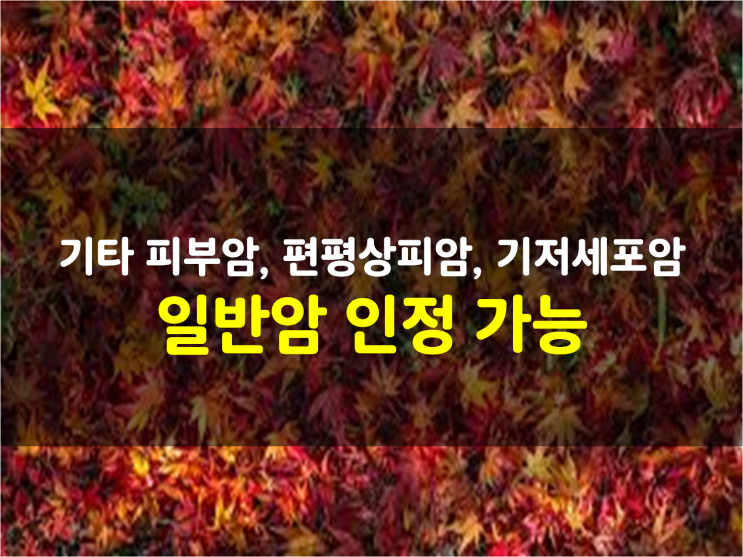 피부의 악성신생물 일반암 진단비 전액 인정 질병분류번호 C441 C446 C449 일반암 인정해결 네이버 블로그