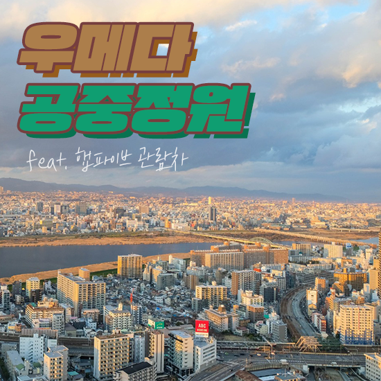 일본 오사카 가볼만한곳 우메다 공중정원 햅파이브 관람차 야경 대기시간 네이버 블로그