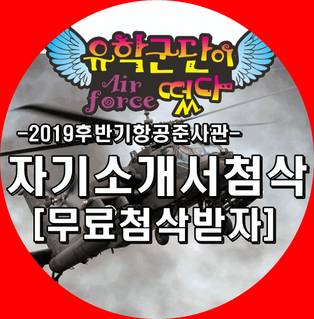 유학군단 2019후반기 육군항공준사관 지원 자기소개서 무료첨삭 디테일하게 무료 첨삭합니다 네이버 블로그