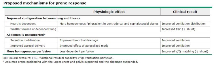 ARDS 의 치료에 적용되는 prone position의 physiology : 네이버 블로그