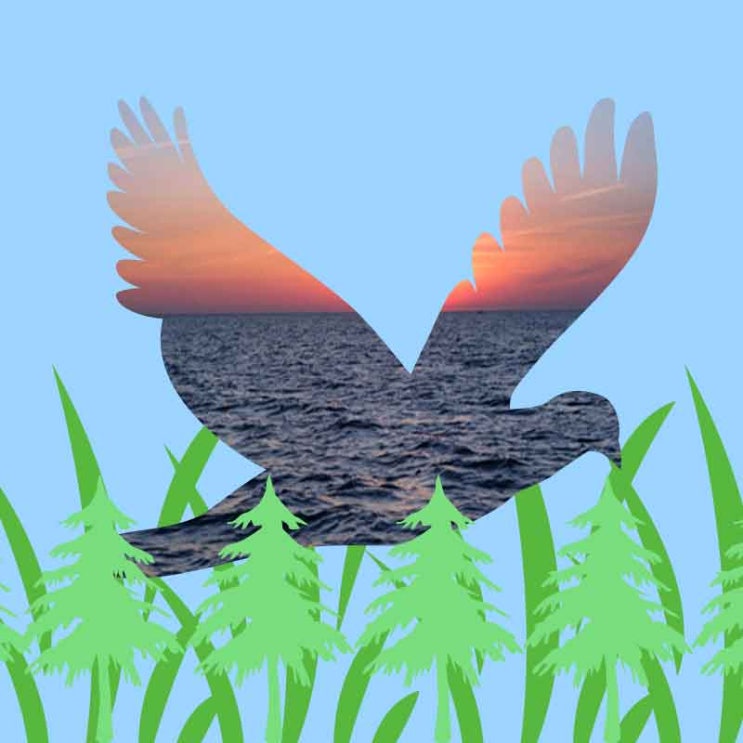 롤플레이2 동침 Role Play 2 정확한 정보로 : 네이버 블로그