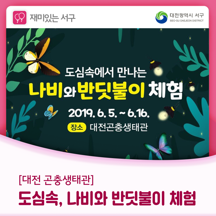도심속에서 만나는 나비와 반딧불이 체험대전 한밭수목원 곤충생태관 네이버 블로그