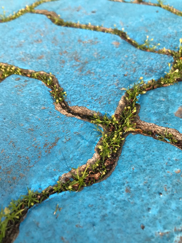 [일상] 일요일의 외출 : 네이버 블로그