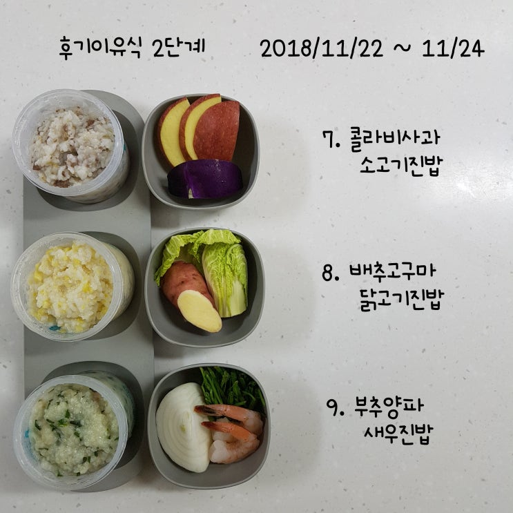 후기이유식 밥솥이유식 콜라비사과소고기진밥 배추고구마닭고기진밥 부추양파새우진밥 네이버 블로그