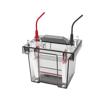 GenScript GenBox Mini Electrophoresis Tank 전기영동장치 : 네이버 블로그