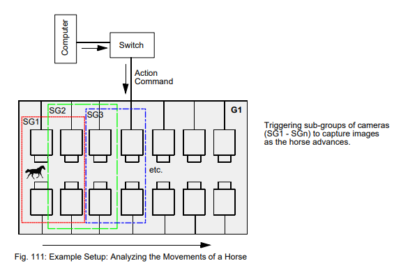 Action Command : 네이버 블로그