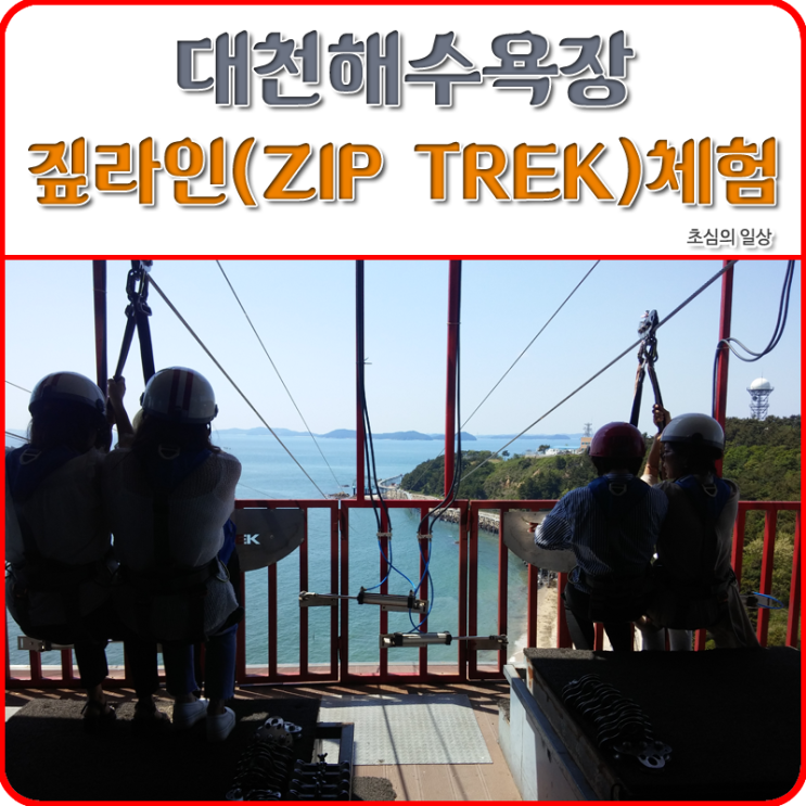 대천해수욕장 짚라인 카트 체험 액티비티 대천카트 And 대천짚트랙 네이버 블로그