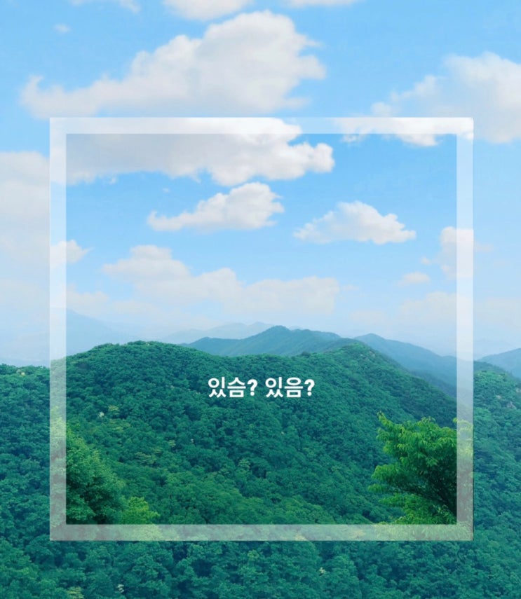 있음? 있슴? : 네이버 블로그