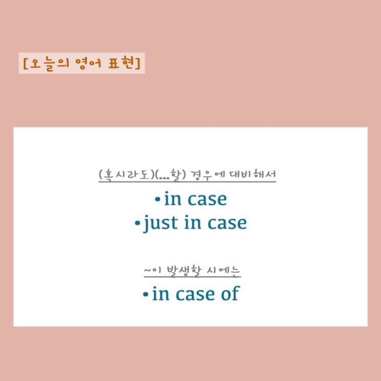 [오늘의 영어 표현] in case / just in case ~할 경우에 대비해서 / in case of ~이 발생할 시에는 ...