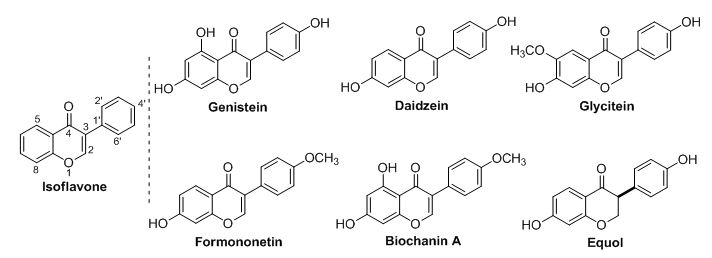 이소플라본(isoflavone)이란 무엇? 화학구조, 특징, 효능 : 네이버 블로그