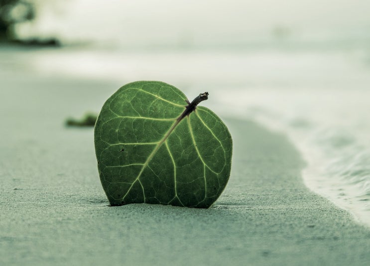 단지 내 상가분양 시흥장현모아미래도에듀포레 궁금하시죠? : 네이버 블로그