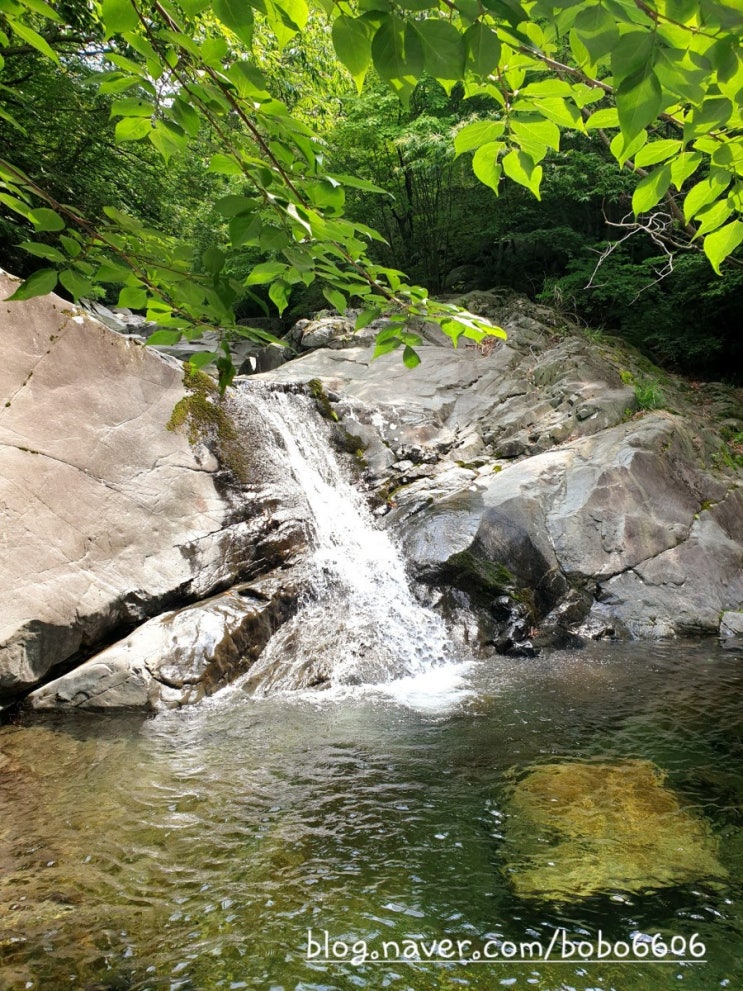 [지리산 산청여행] #지리산계곡 #산청계곡 - 와우~! 여름이다~^^ #산청펜션 #허브힐펜션 : 네이버 블로그