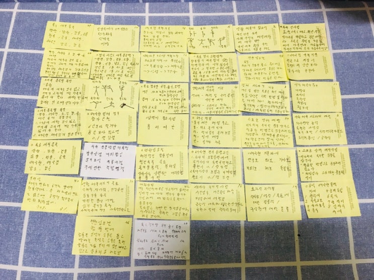 가라데가의 노인 스포츠 지도사 우슈 도전기 우슈 쿵후 태극권 노인 스포츠지도사 자격증 시험 최종 합격 네이버 블로그