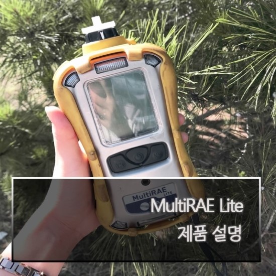 휴대용복합 가스감지기 (MultiRAE Lite) : 네이버 블로그