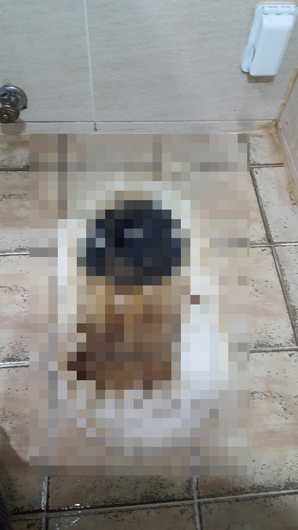 화장실 변기역류 양변기물튐 양변기기포역류증상 개선해결 강북구 수유동 양변기 물빠짐 네이버 블로그