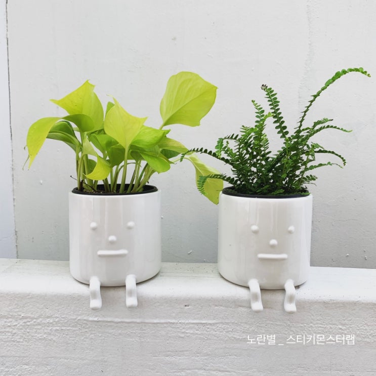 드디어 스티키몬스터랩 sml shop 정복 : 네이버 블로그