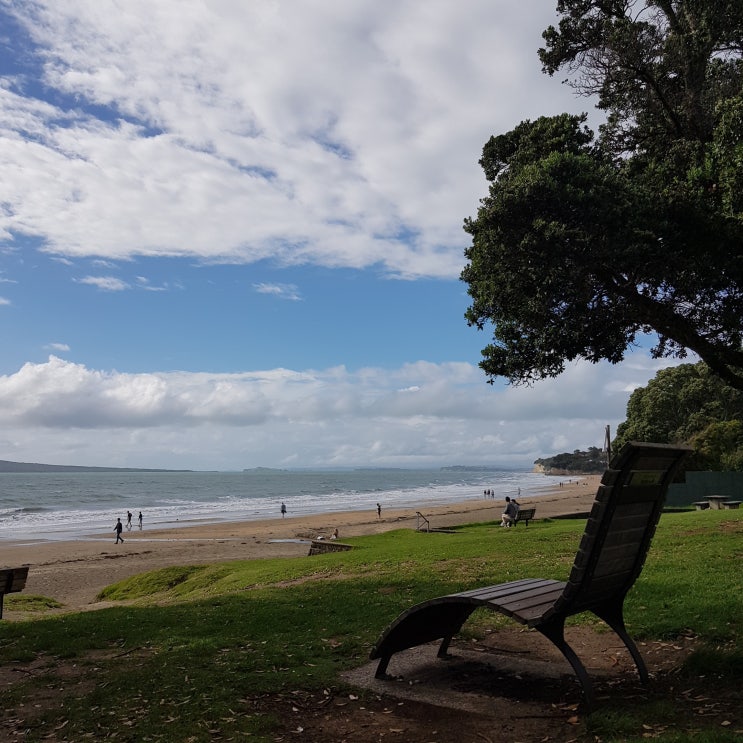 [뉴질랜드 워홀] D +87~92 ; Crab shack, 치킨클럽, Between, 봉사, 다시 찾은 타카푸나 : 네이버 블로그