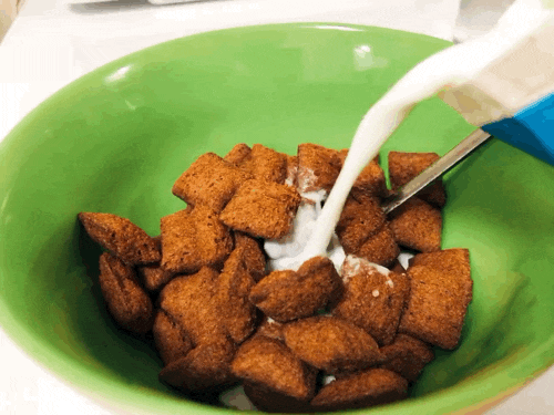 요즘 초코초코에 빠진 주희 닝겐 : 네이버 블로그