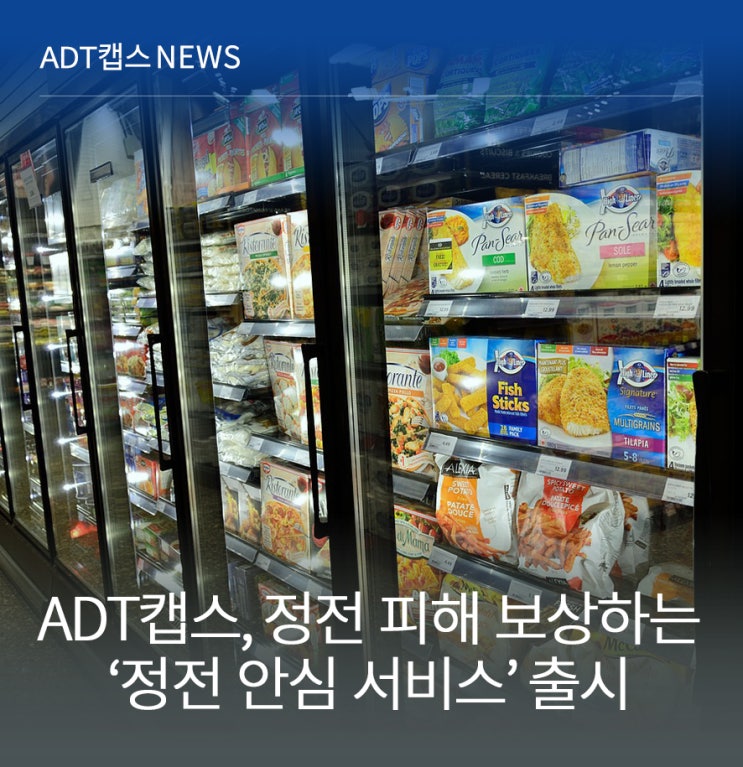 ADT캡스, 정전 피해 보상하는 ‘ADT안심플러스 정전 안심 서비스’ 출시 : 네이버 블로그