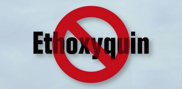 에톡시퀸(Ethoxyquin), 위험한 보존제!! : 네이버 블로그