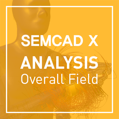 [SEMCAD X] Analysis – Overall Field : 네이버 블로그