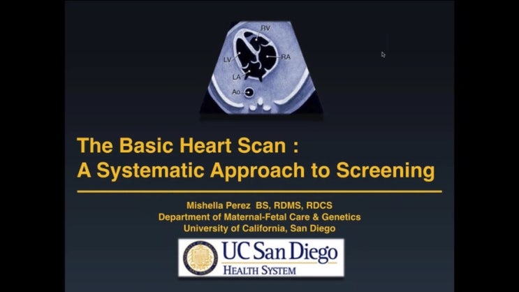 AIUM 12개의 CME 합격증과 강의 정리 ,Basic Heart Scan,systematic approach [AIUM 태아 ...