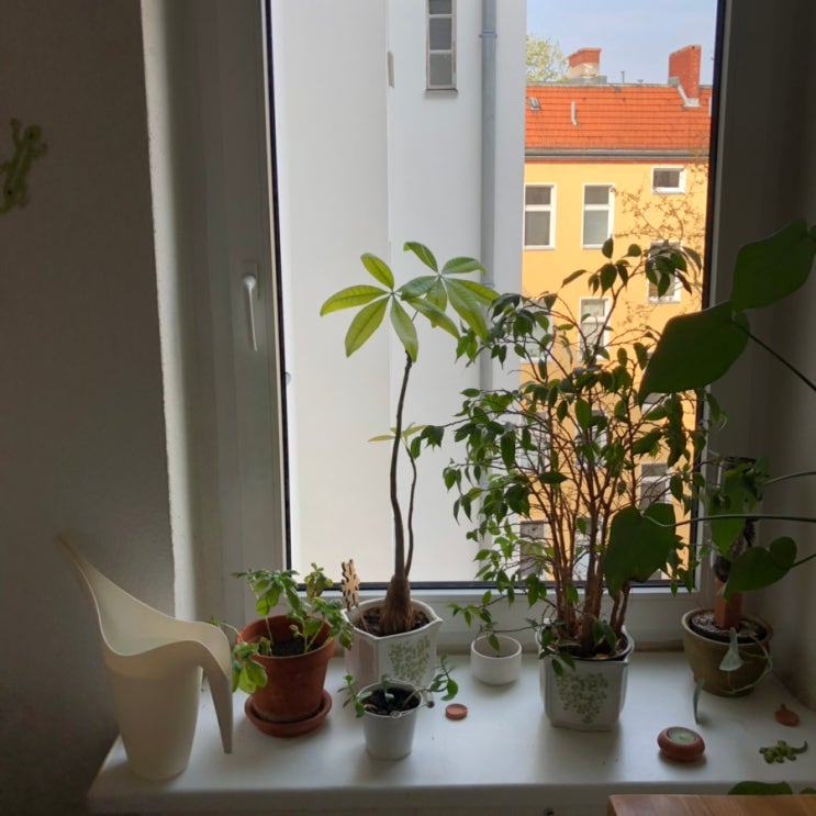 berlin / 베를린 에어비앤비, compact market, voo store, zeit fur brot, RSVP, THE ...