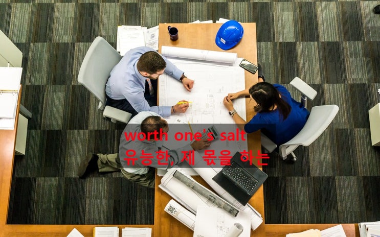 오늘의영어숙어 worth one's salt 유능한, 제 몫을 하는 : 네이버 블로그