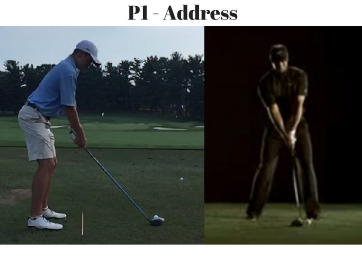 [골프이론] 용어 설명 P classification system : 네이버 블로그