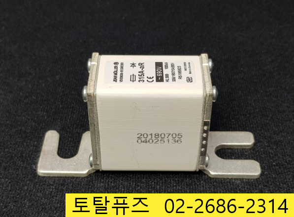 R5185923 /JEAN MULLER VDE0636-IEC60269, 315A -aRCE~690V HLS00 100KA 퓨즈 ...