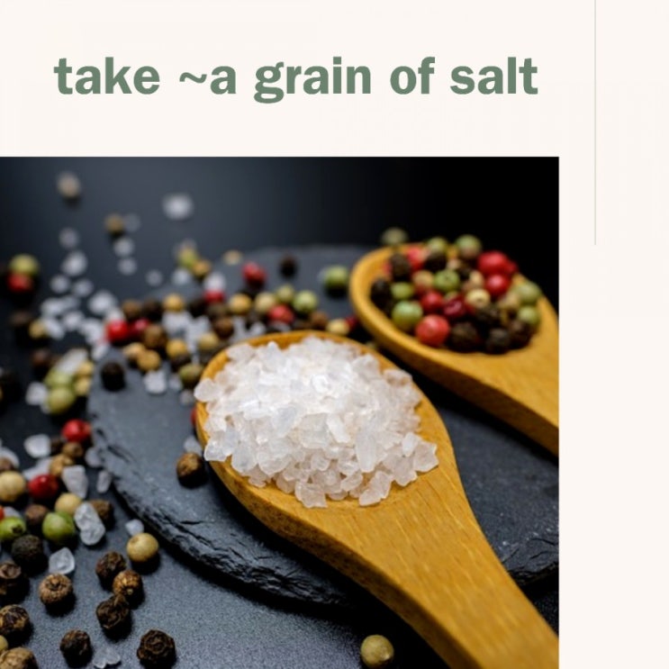 take ~ a grain of salt/가감해서 듣다 : 네이버 블로그