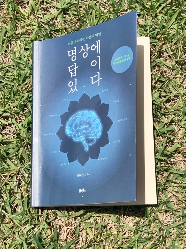 북리뷰 명상에 답이 있다 I 내가 나의 의사다 뇌를 움직이는 마음의 비밀 네이버 블로그