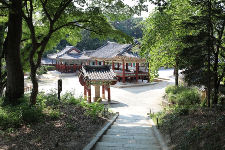 여주 신륵사 템플스테이 '강따라 바람따라 ' 사찰 체험여행 : 네이버 블로그