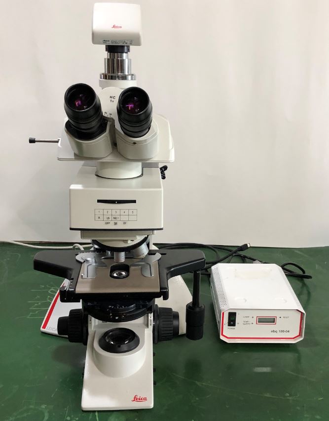 라이카(Leica) 정립형 형광 위상차 현미경 DM2500 : 네이버 블로그