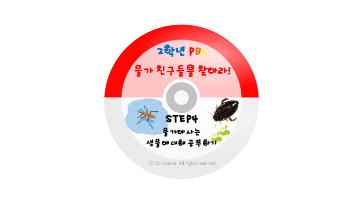 달리쌤 Pbl 물가 친구들을 찾아라 Step4 물가에 사는 생물 공부하기프로젝트수업프로젝트학습문제중심학습현상기반학습