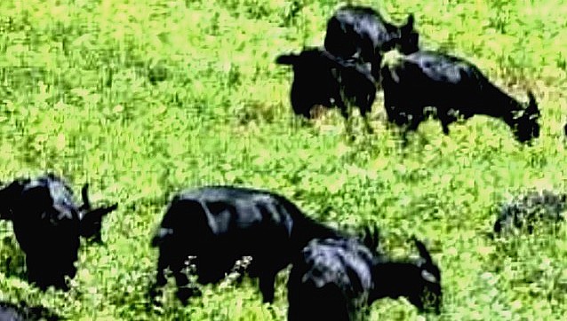 냉한 체질 이렇게 관리하세요! : 네이버 블로그