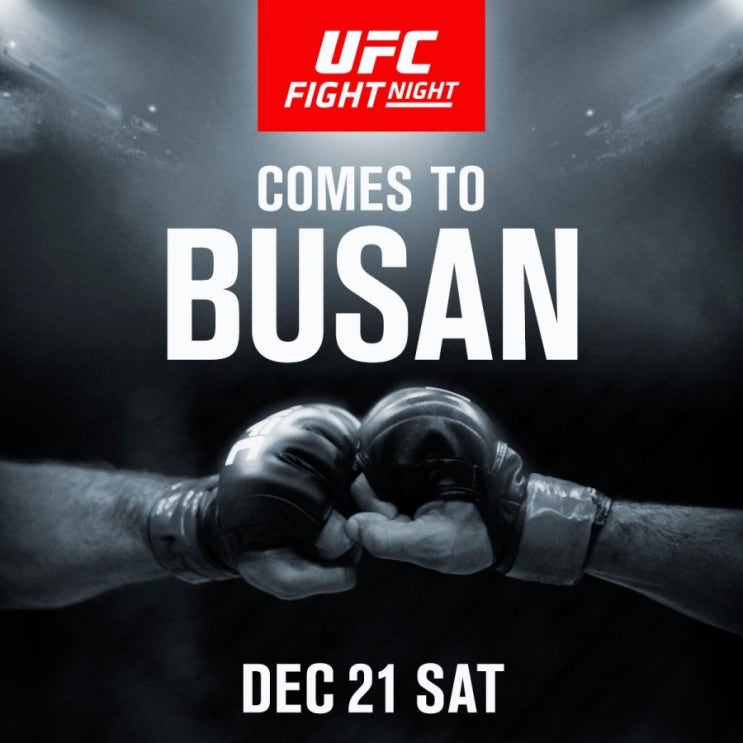 UFC 12월 21일 부산 대회 확정 : 네이버 블로그